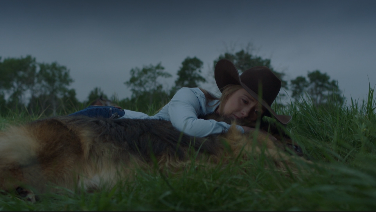 Heartland Catch UP: Season 17 Episode 2 "Taking the Reins" - UP Faith ...