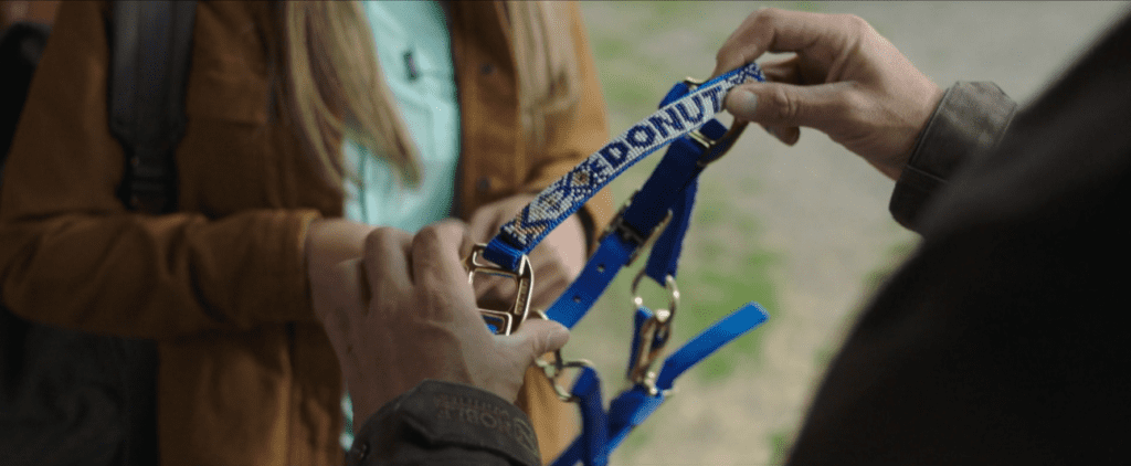 Heartland Catch UP: Season 17 Episode 6: "Heat of the Moment" - UP ...