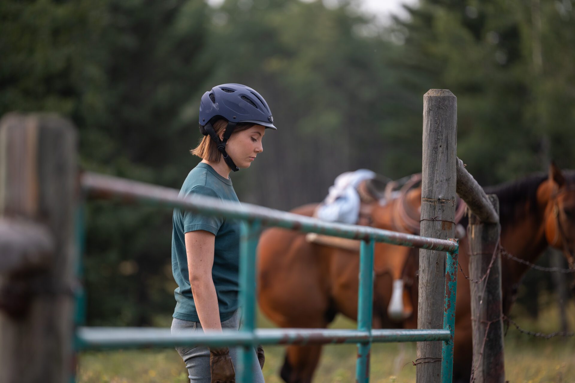 Heartland Catch UP: Season 18 Episode 10 "Open House" - UP Faith & Family